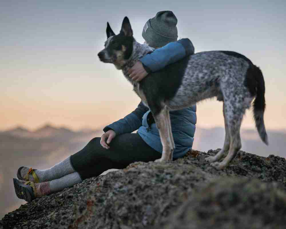 8 claves para pasear a tu perro - Canine Genesis